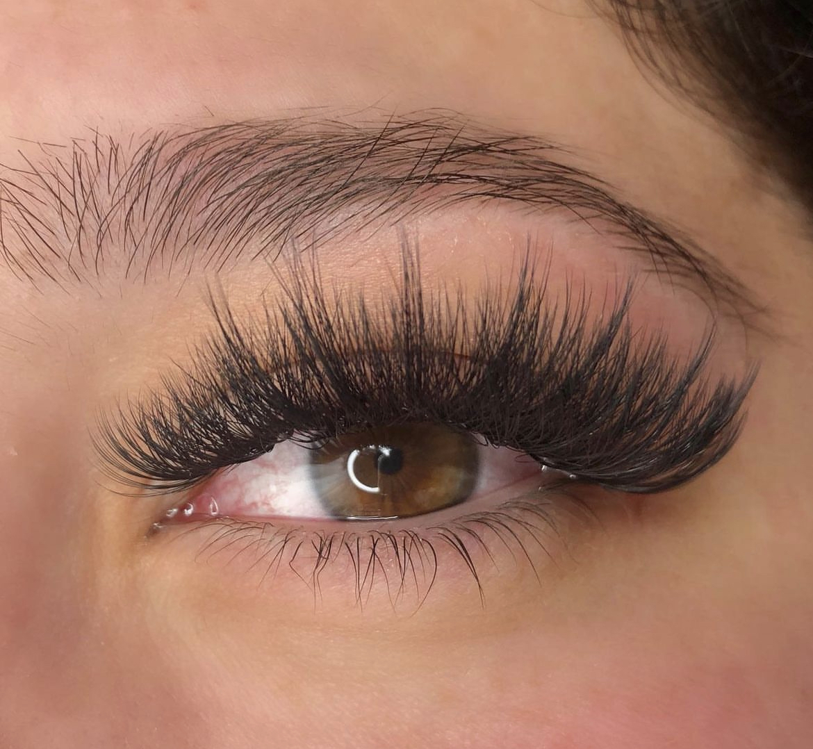 Trainings – AlphaBabeLashes